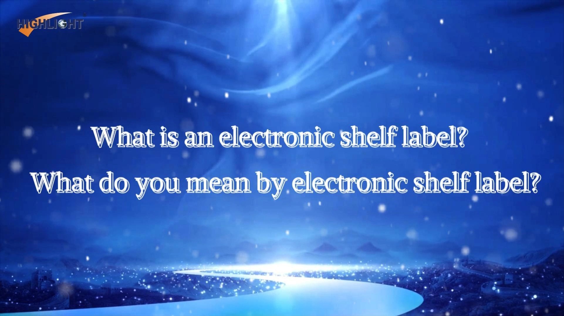 what is an electronic shelf label, what do you mean by electronic shelf ...