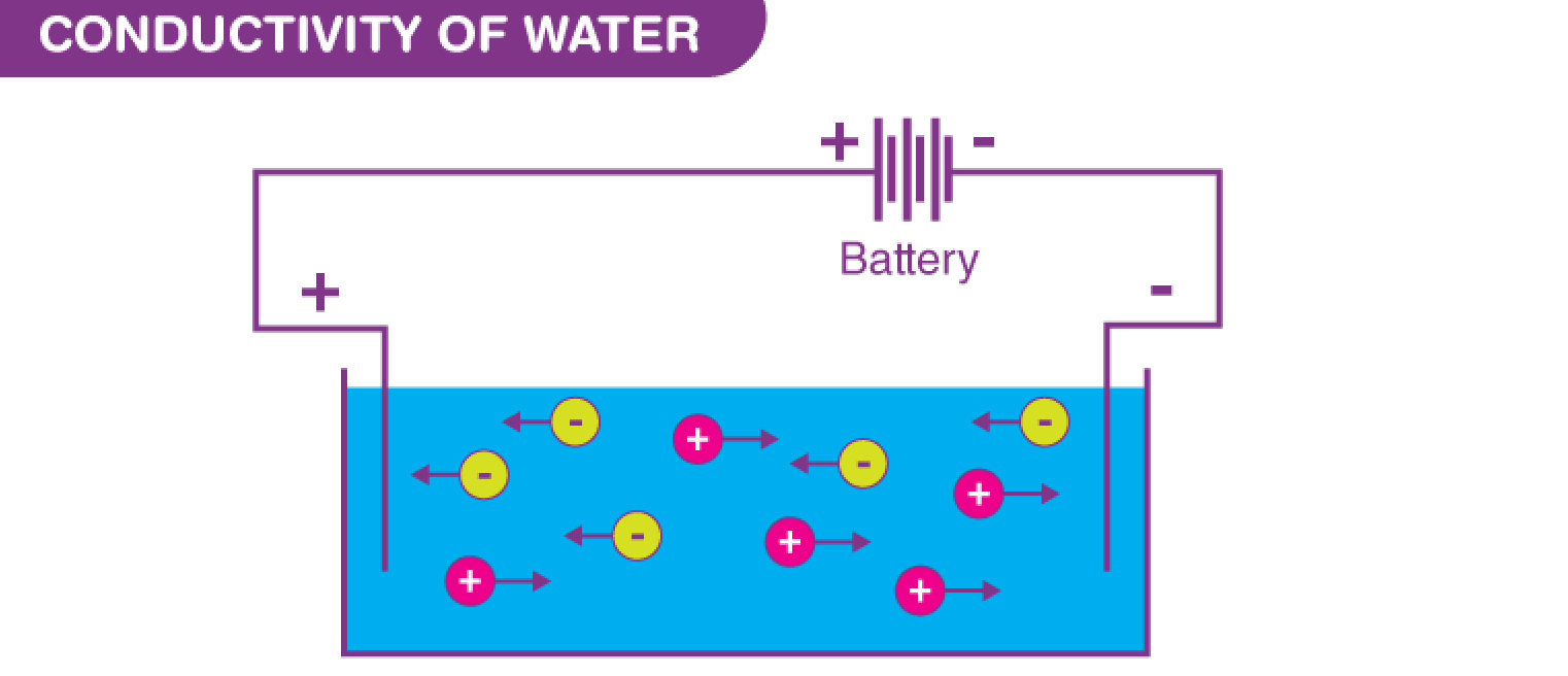 How to Calculate Electrical Conductivity From TDS? | Rika Sensor