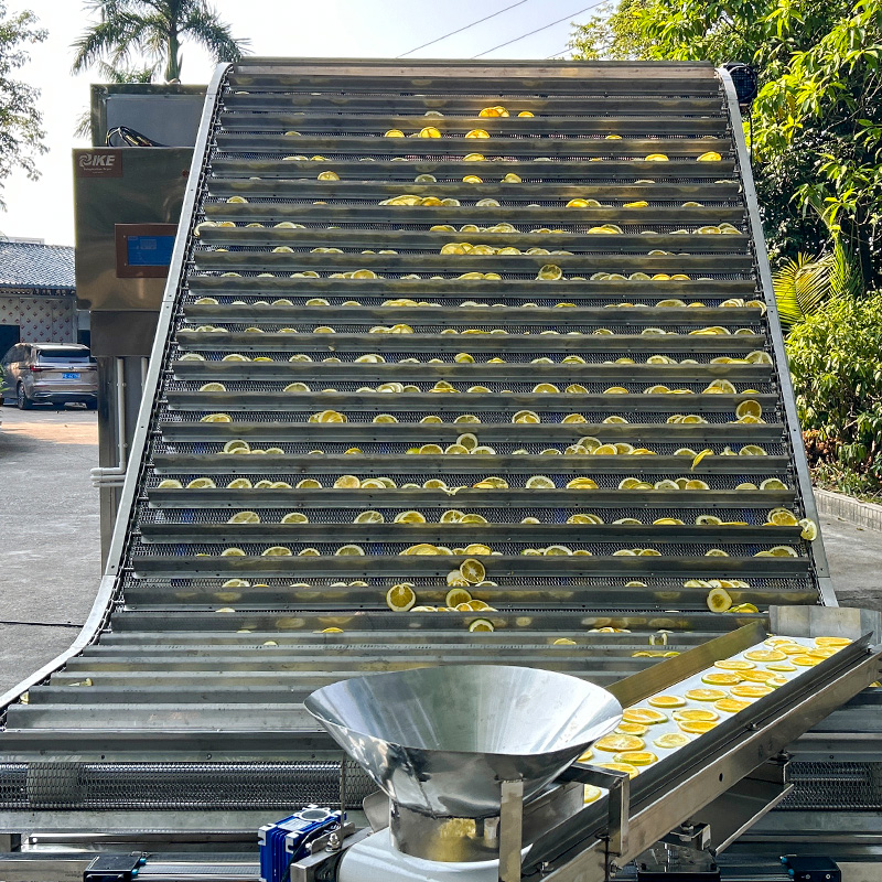 Automated Dehydration Machine for Industrial Use | Smart Heat Pump Drying