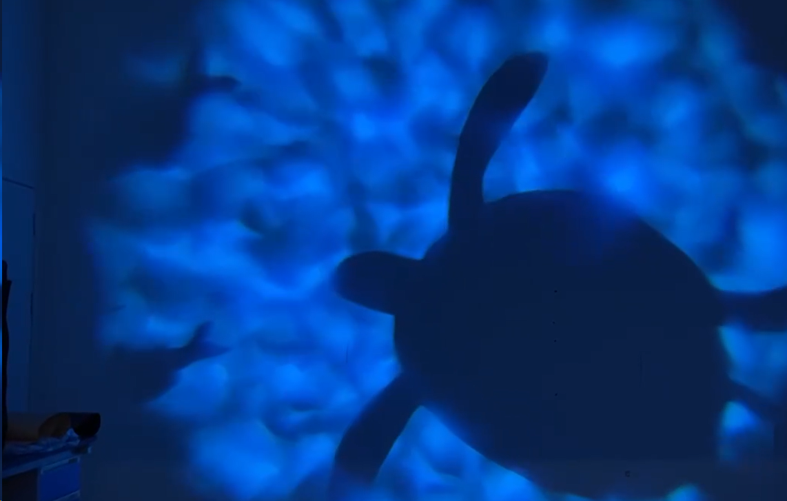 Capturing the Beauty of Water Ripples: a Fish Shadows Projector | Noparde