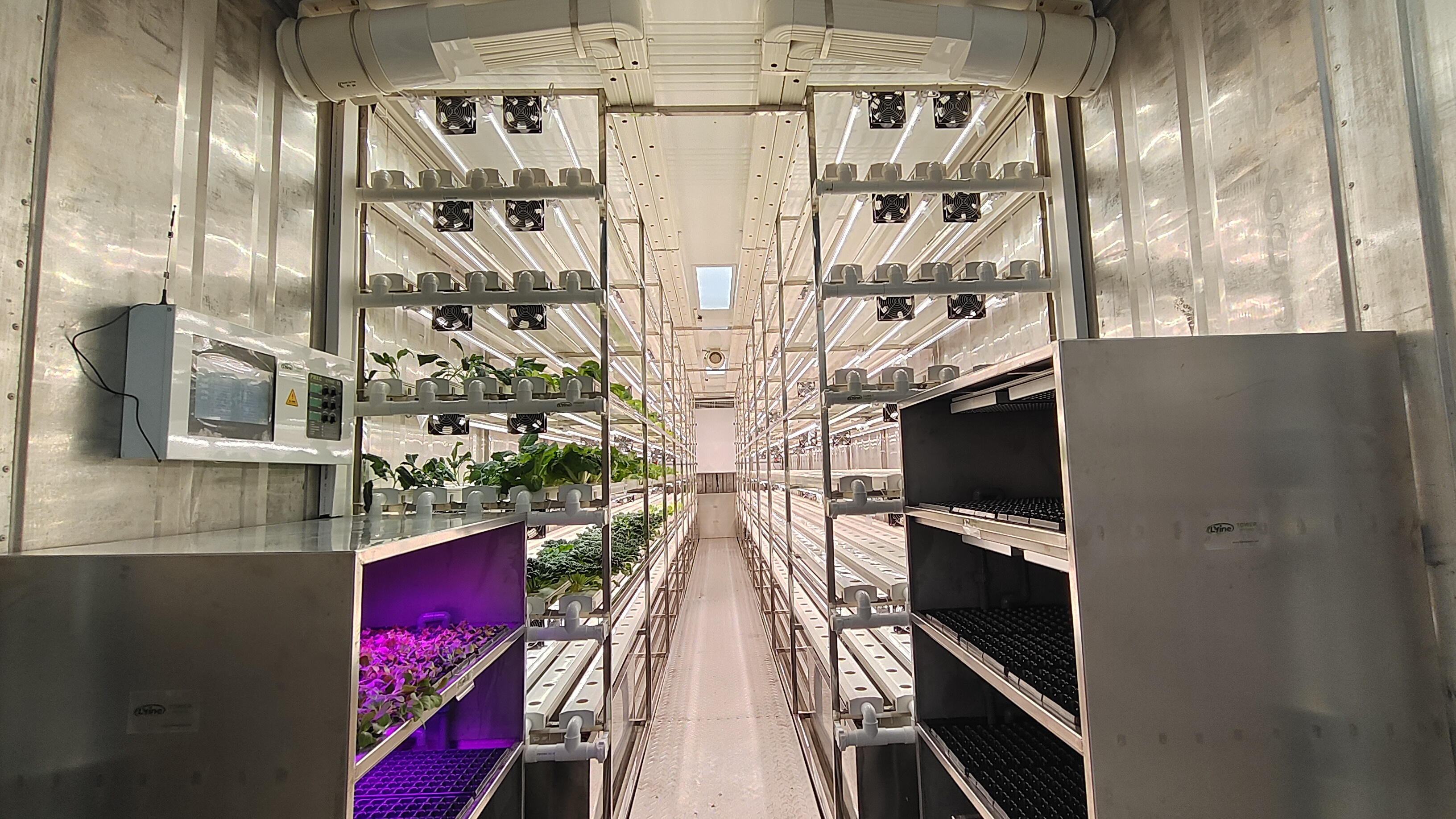 St. Lucia Hydroponics NFT System Container Farming | Lyine