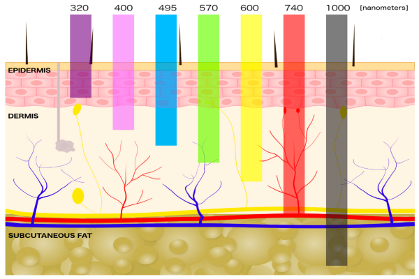 Light Therapy Colors Explained: What Blue, Red, Green & NIR Do | REDDOT