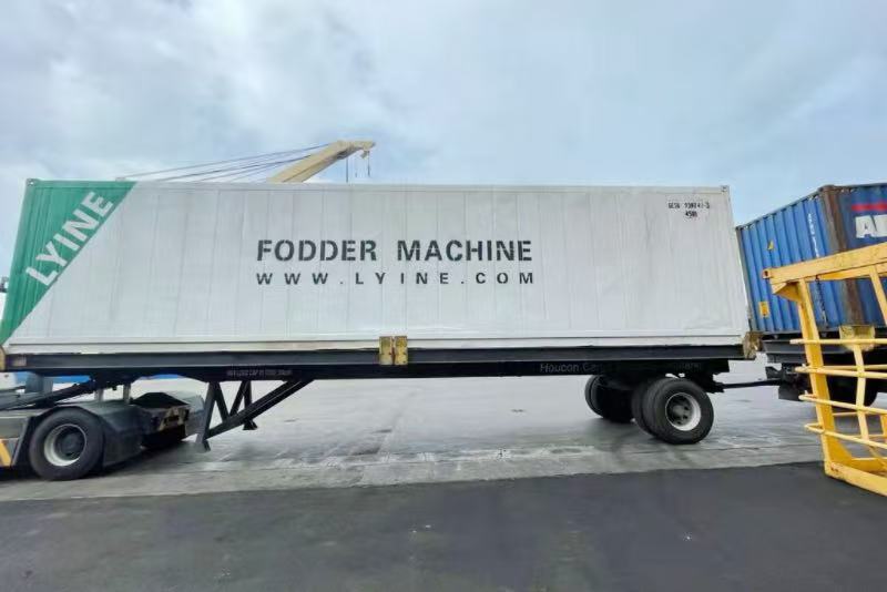 Hydroponic Fodder Container Used in Commercial Farm in Lebanon | Lyine