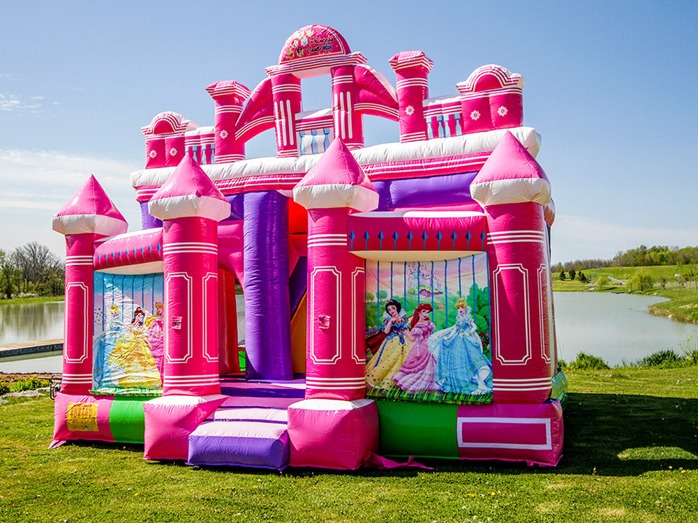 Pink Princess Bouncer Combo Inflatable Jumping Castle | Barry Inflatable