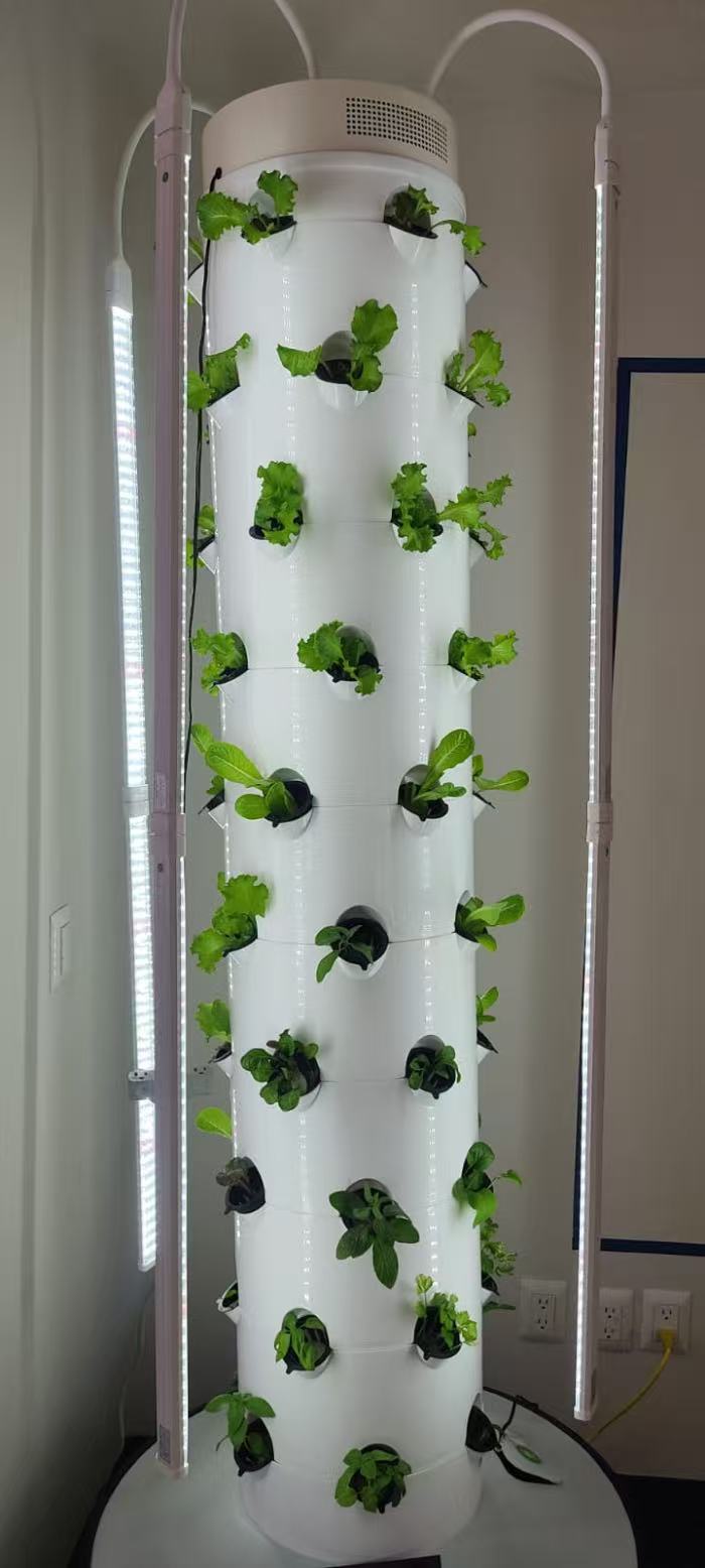 Venezuela Customer Begins Indoor Farming with 6P9 Hydroponic Tower ...