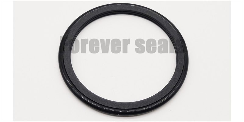 High-Performance GRS Shaft Rotary Glyd Ring - CT01 Carbon Fiber Filled ...