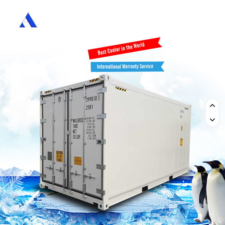 Customized 20ft High Cube Reefer Refrigerated Container Price with ...
