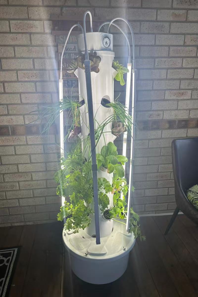 Vertikalt Hydroponic Garden Tower -system för plantering i Taiwan | Lyin