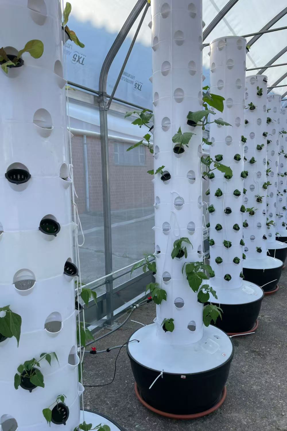 6p15 Hydroponic Tower System Grows Lettuce in Italy Commercial ...
