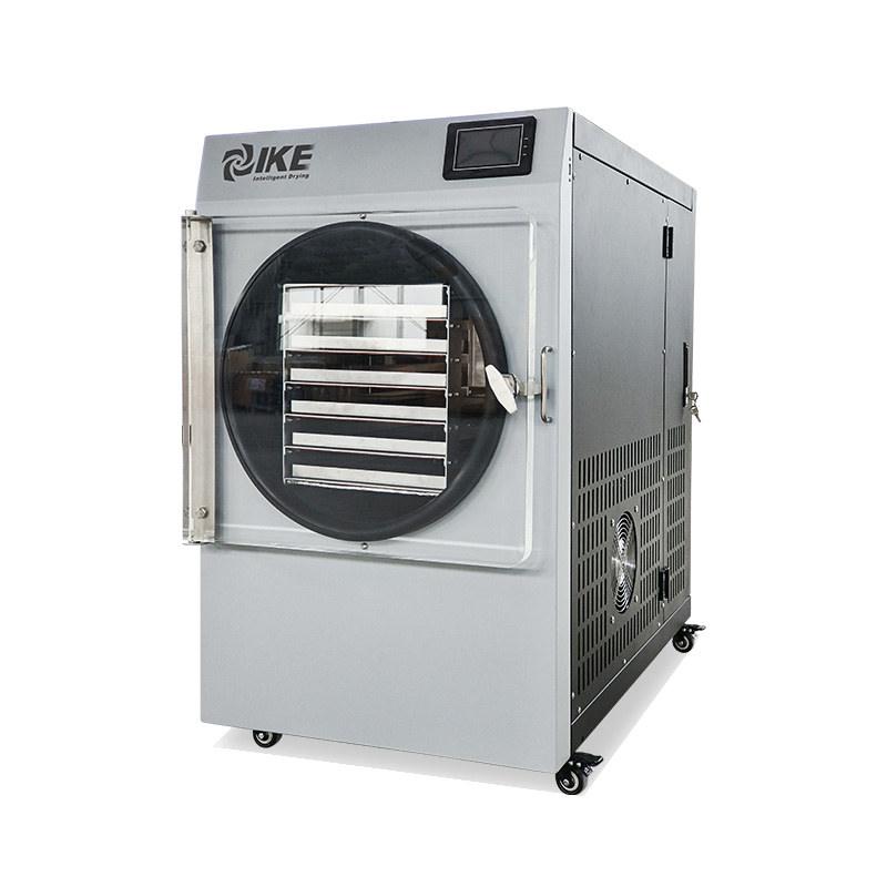 Lab & Pilot Freeze Dryer for Coffee, Breast Milk, Pet Treats - FVD-H12 ...