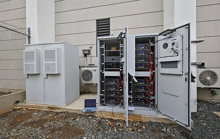 Technology Empowerment in the Lepidoptera Region: 48 Batteries in Low ...