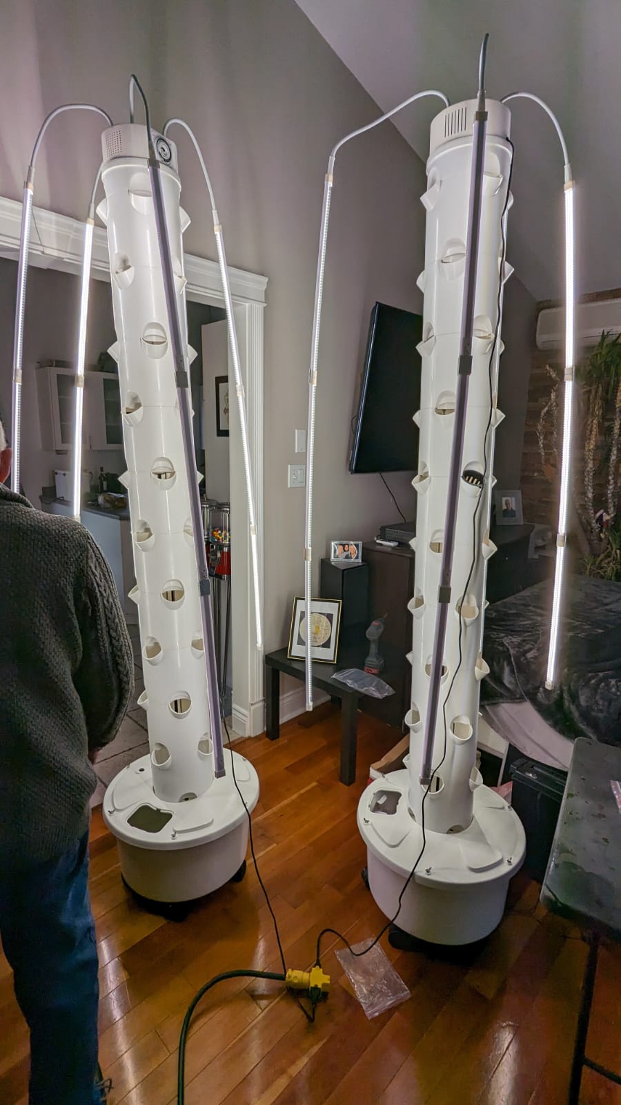 Indoor Farming in Jamaica with 4P10 Hydroponic Tower System | Lyine