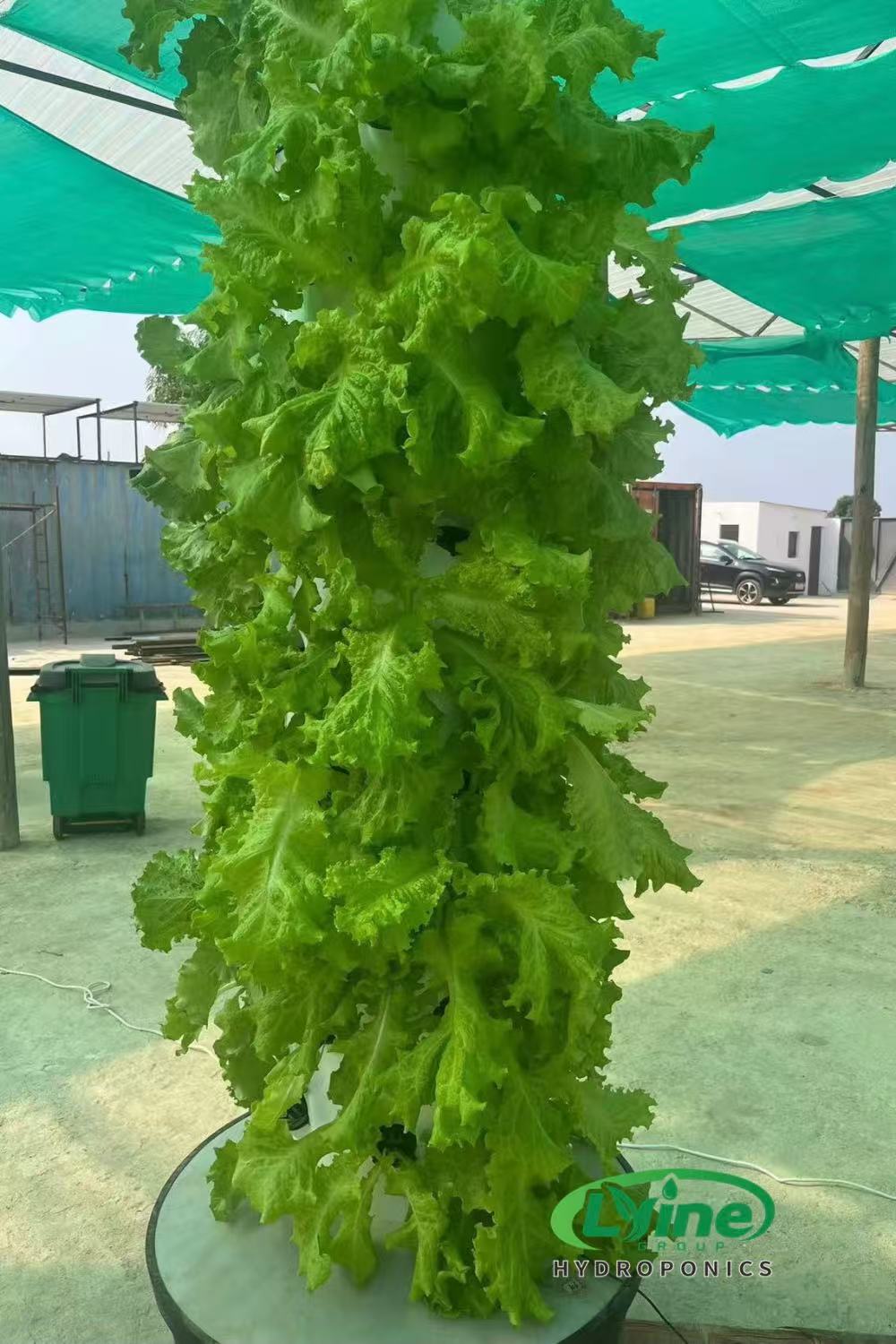 6P10 Commercial Vegetable Hydroponic Tower System in Croatia | Lyine