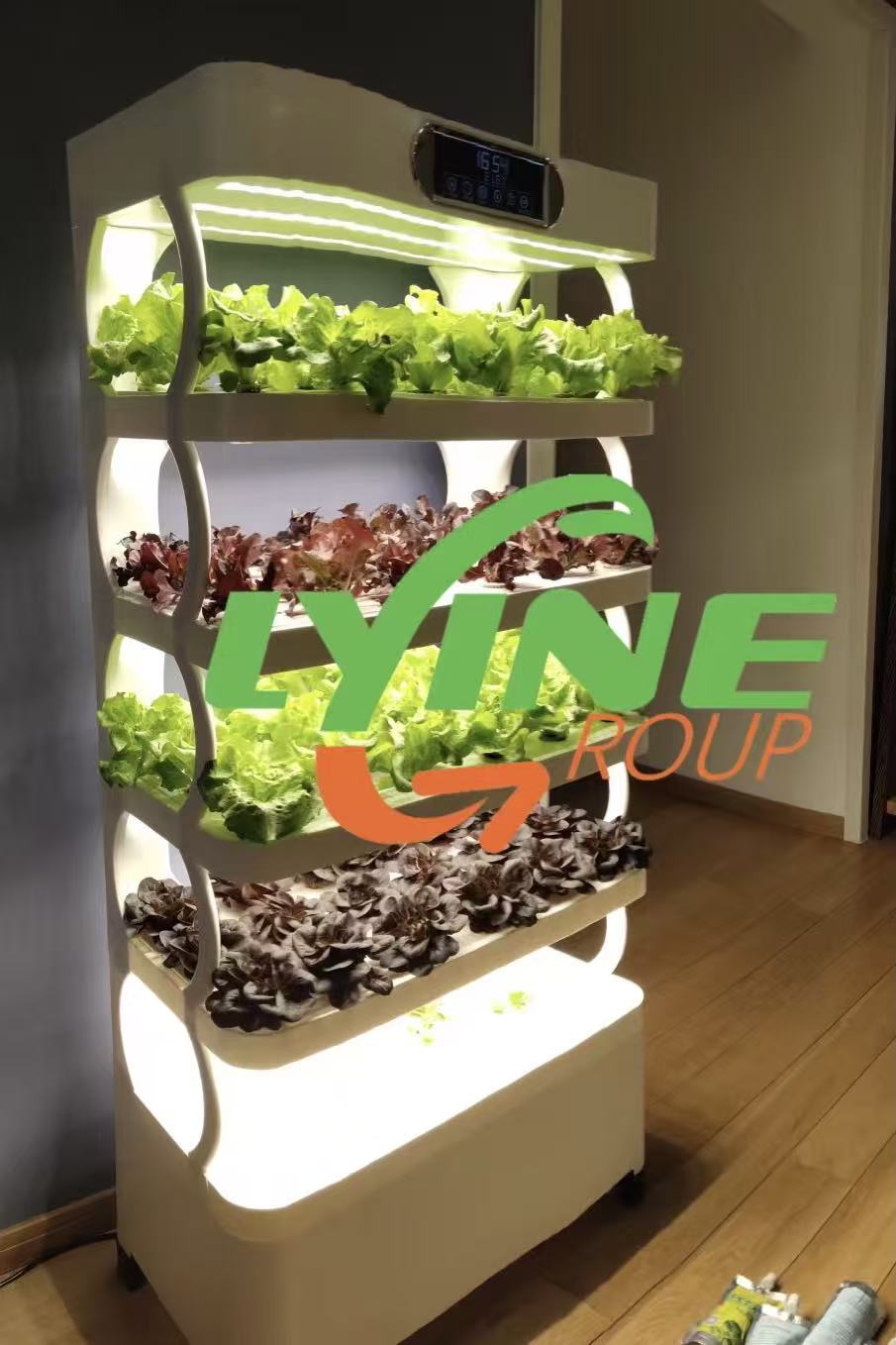 Home Gardening in Romania with Indoor Smart Hydroponic Grow Cabinet | Lyine