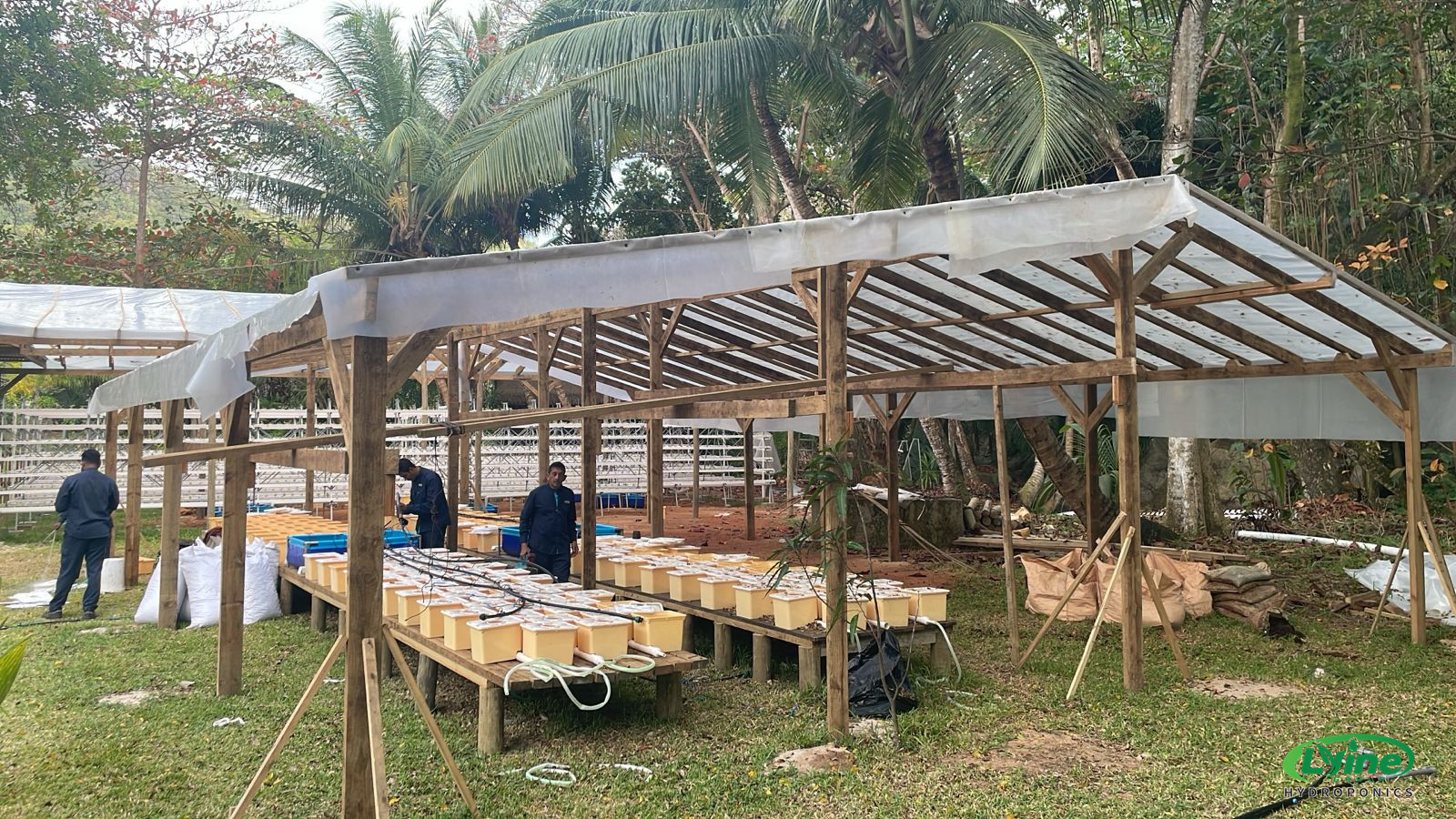 Hydroponische landbouw in de buitenlucht voor hotels op de Seychellen ...