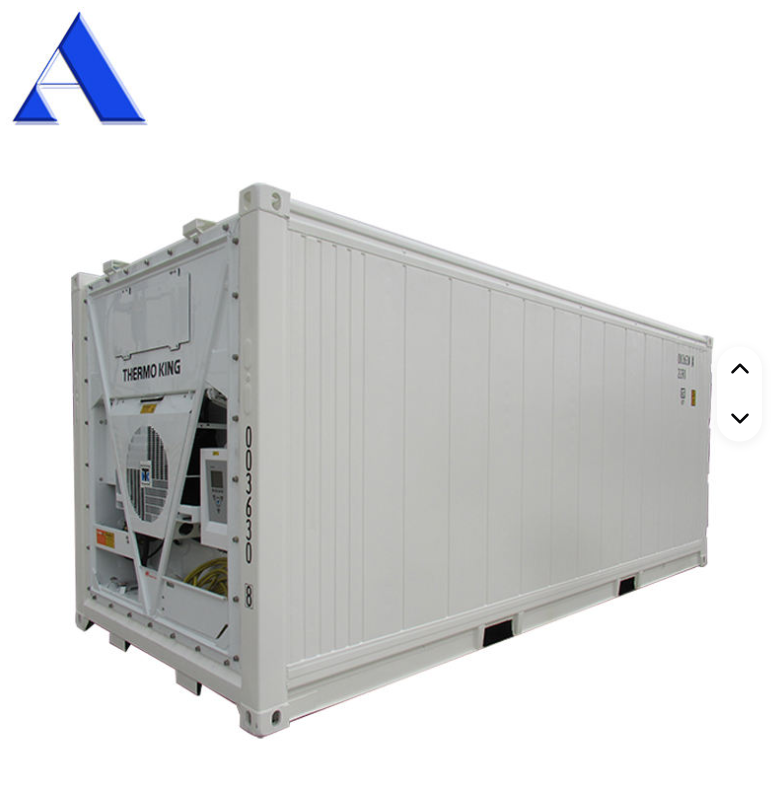 BV Certified Thermo King 20ft Refrigerated Cooler Reefer Container 20 ...