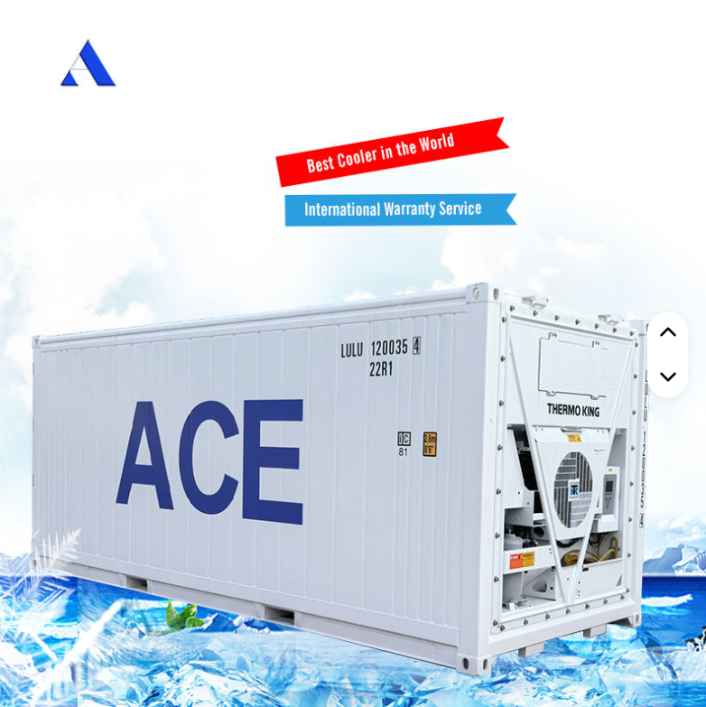 US Brand Thermo King Refrigerated Cooler 20ft 6 Meter Length Freezer ...