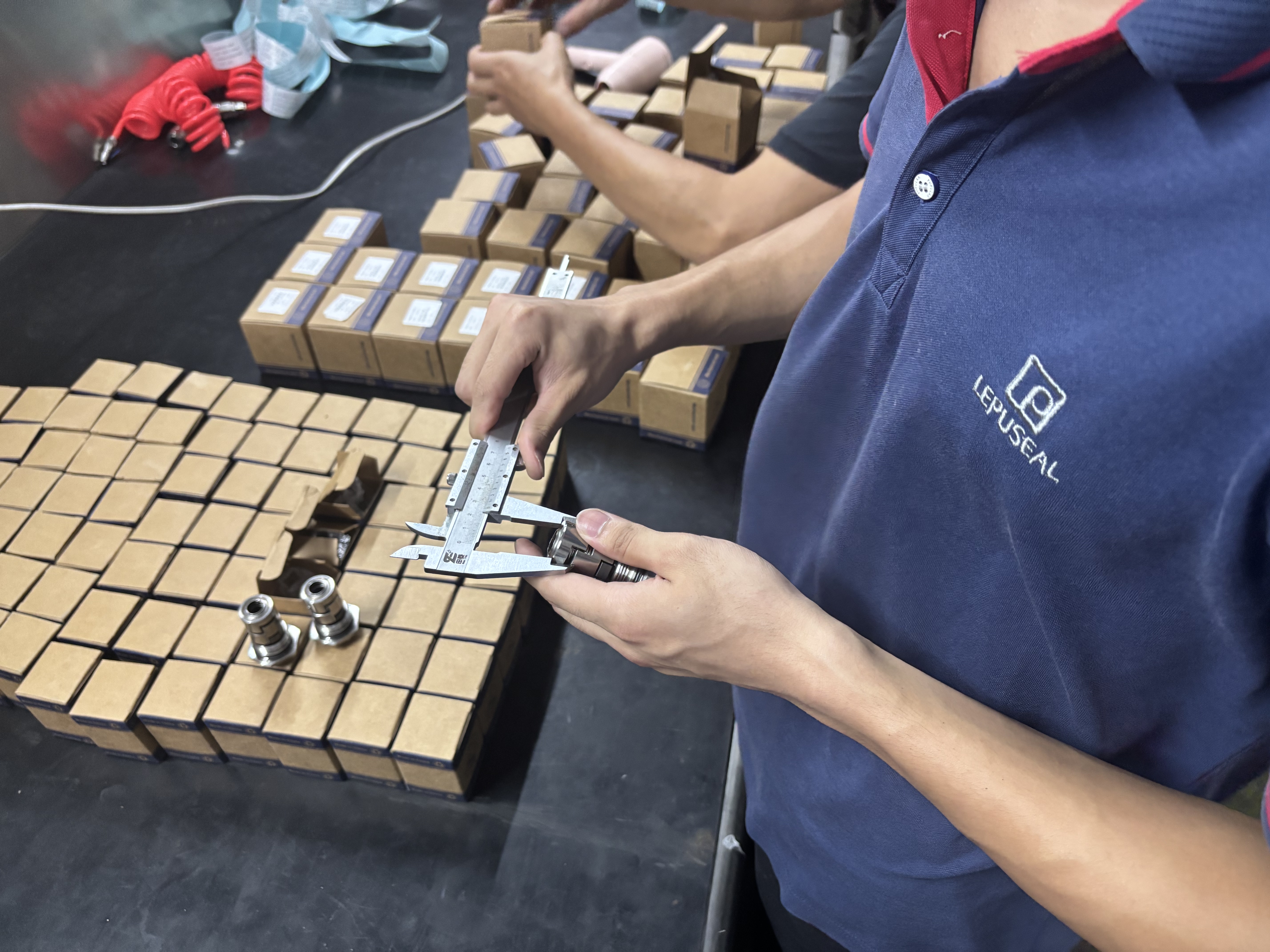 What Is the Purpose of Dry Seal? | Lepu Seal