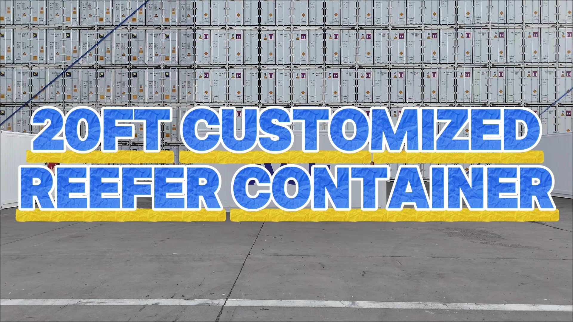 20ft Customized Reefer Container | ACE Container