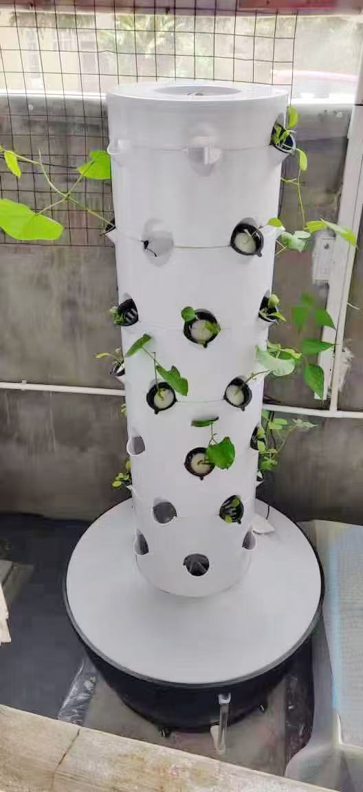 Customer in Mauritius Achieves Successful Home Gardening with 6P7 ...