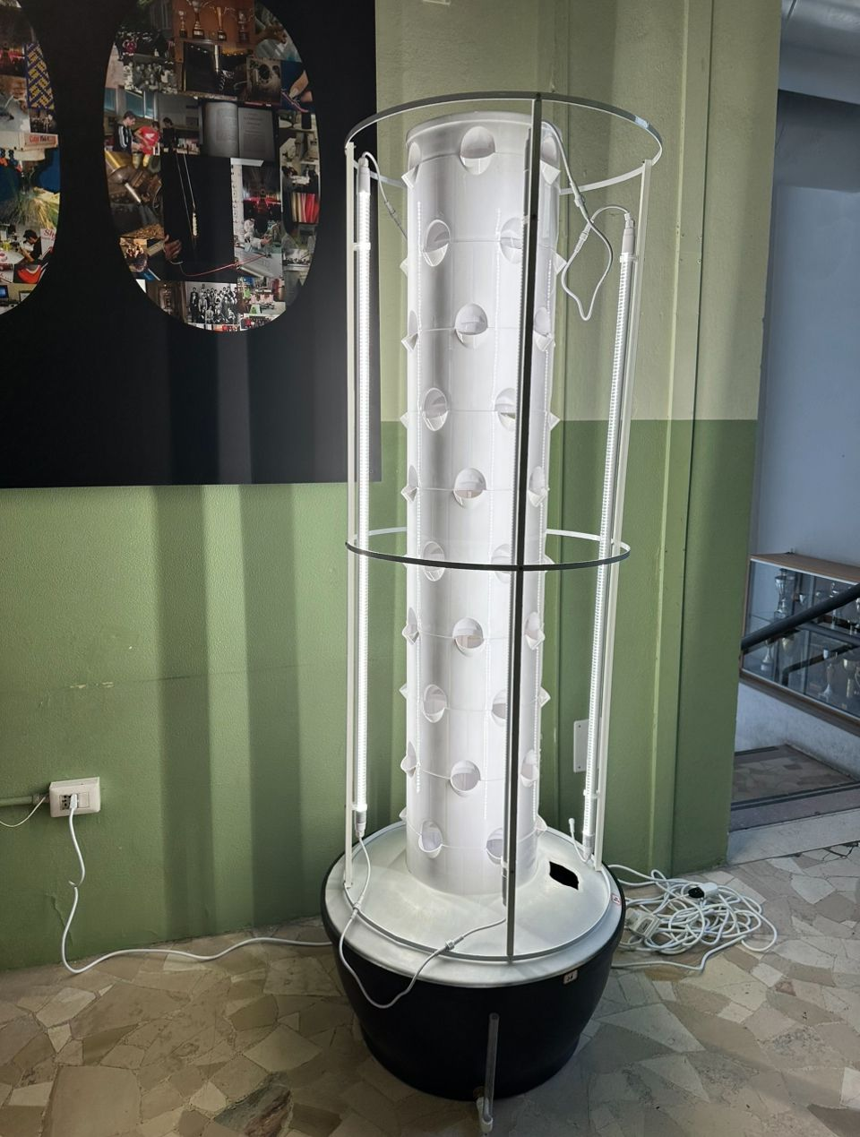Home Hydroponic Tower System in Italy | Lyine