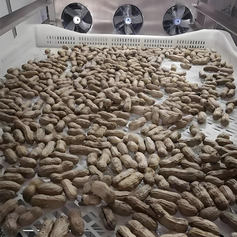 JIMU Heat Pump Food Dehydrator | Commercial Peanut Drying Machine for ...