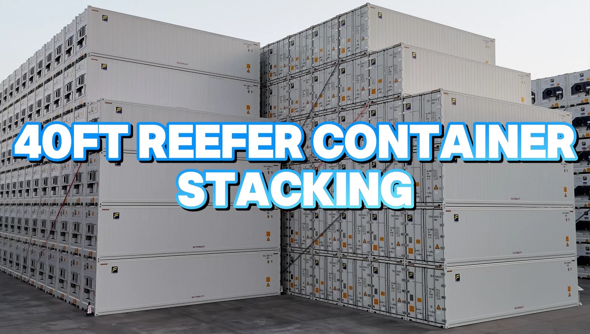 40ft Reefer Container New Finished | ACE Container