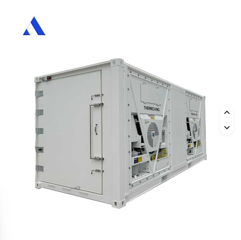 20ft Dual Cooling Units Refrigerated Blast Freezer Reefer Container ...