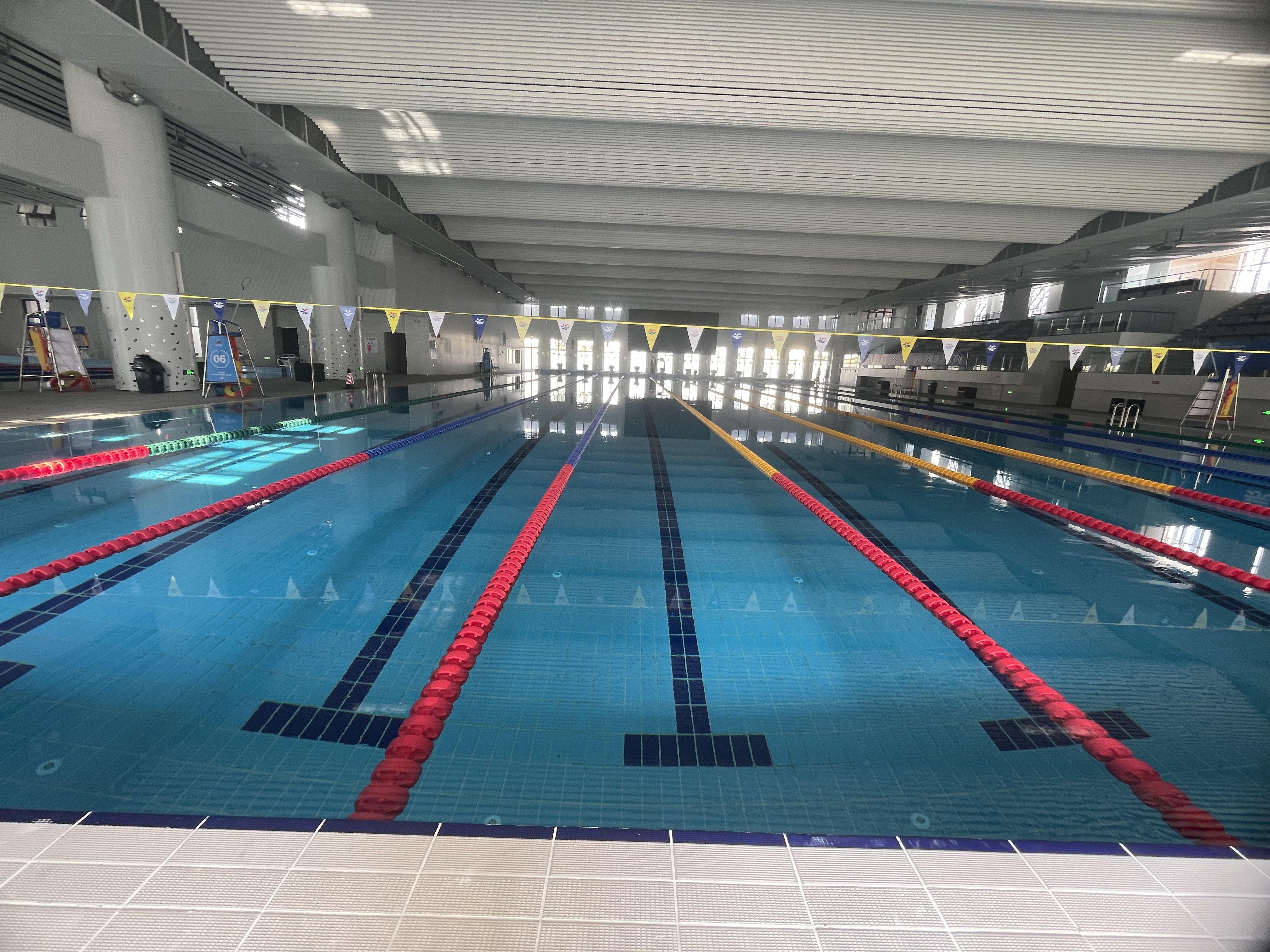 Basic Components of a Swimming Pool