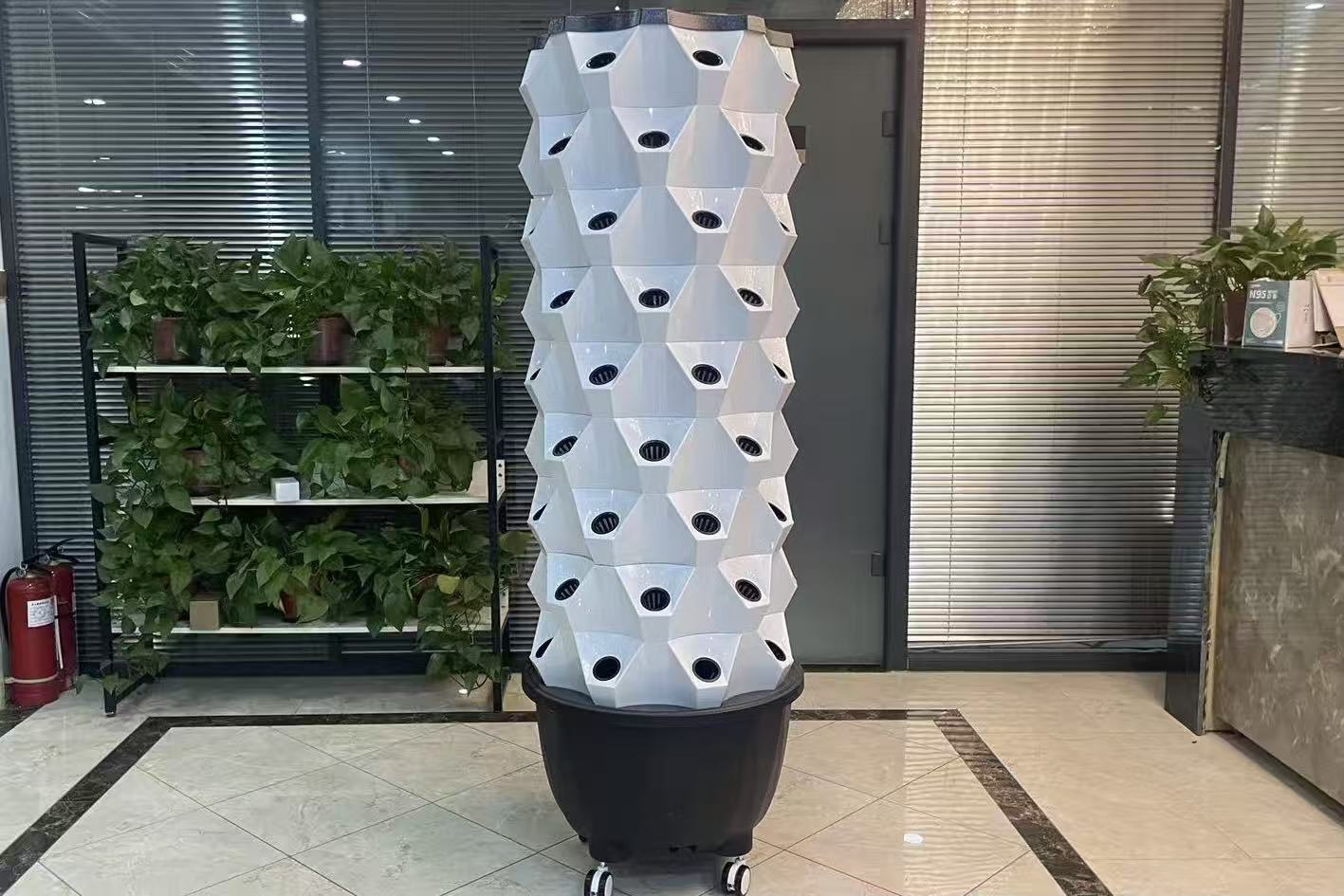 Hydroponic System for Schools in Malaysia Teaching Modern Sustainable Agriculture with the 8P10 ...