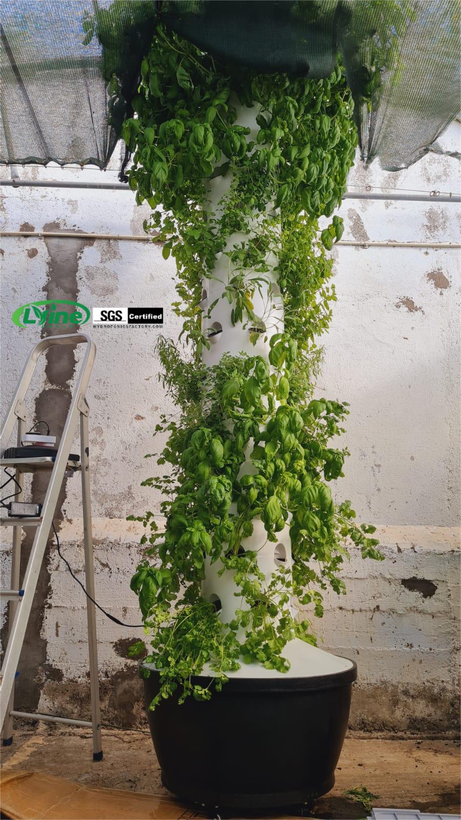 Spain Commercial Greenhouse Hydroponic Tower Project Using 6P15 ...