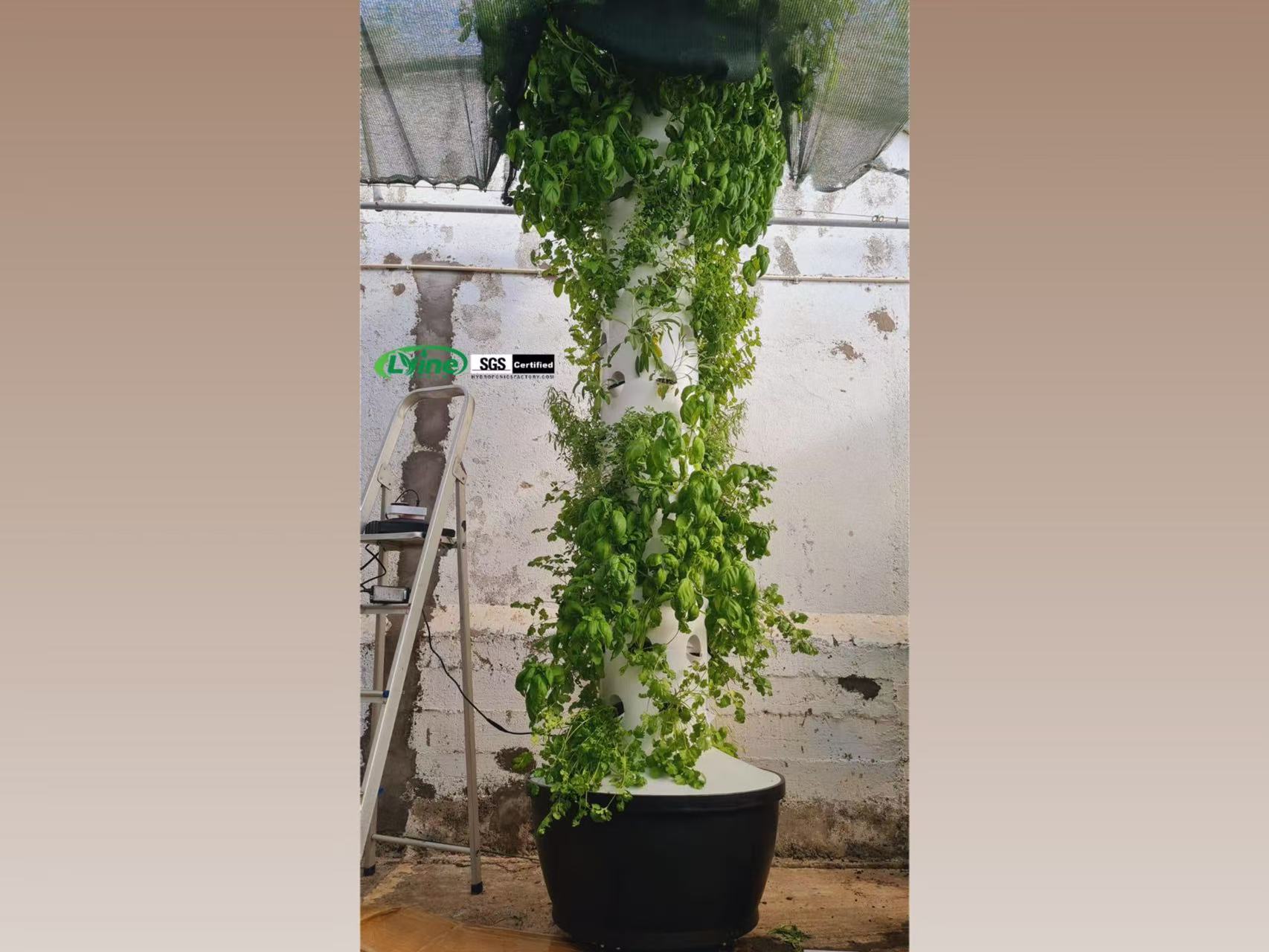 Spain Commercial Greenhouse Hydroponic Tower Project Using 6P15 ...