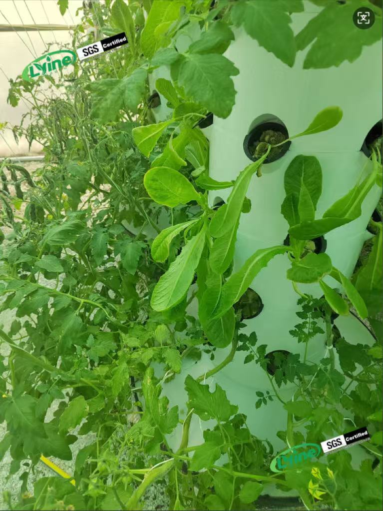 Kot-d'Ivuar NFT va bargli ko'katlar uchun 6P10 gidroponik minorali ...