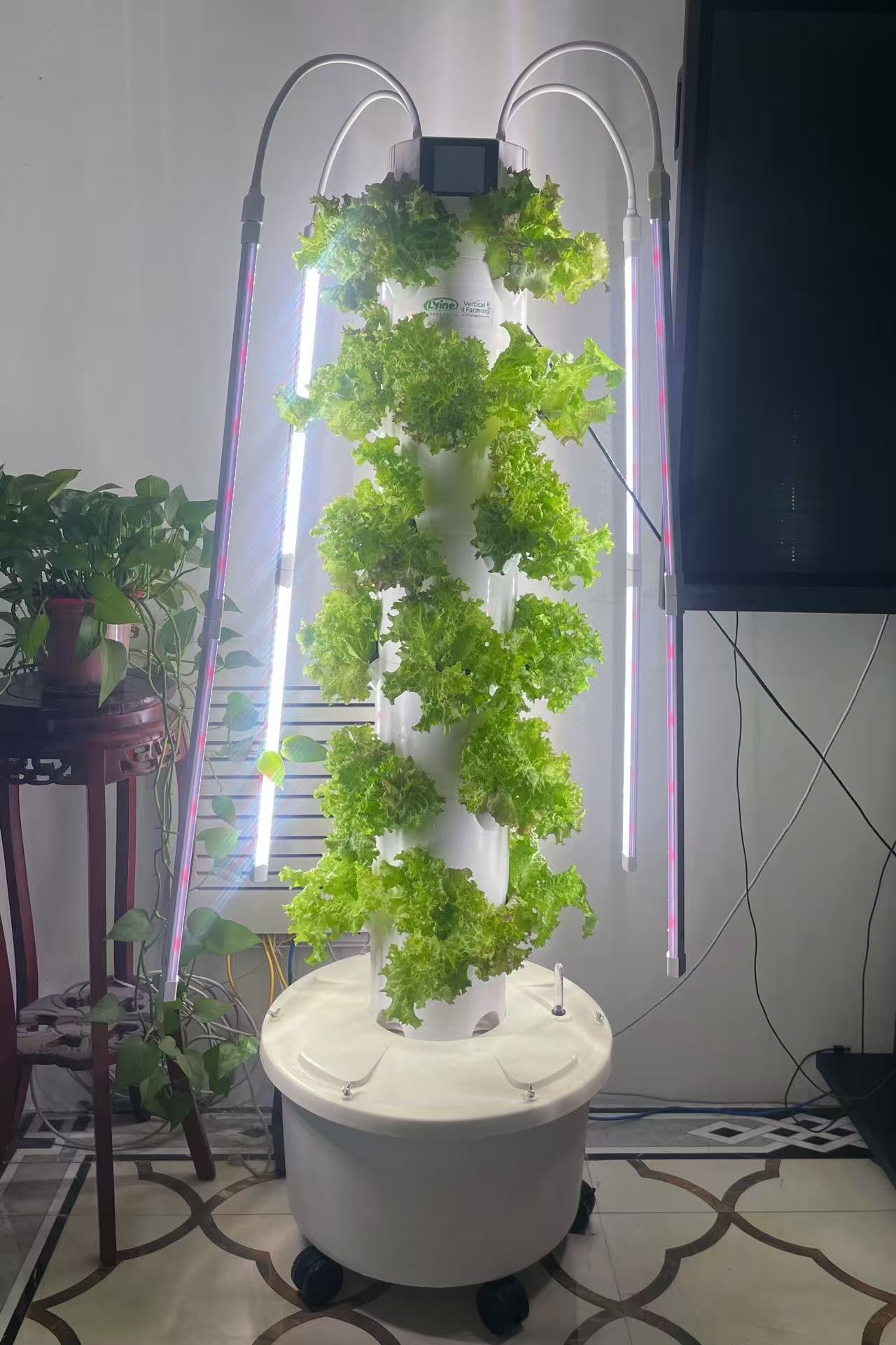 Kuwait Distributor 4P6 Hydroponic Tower System for Home Growing Market ...