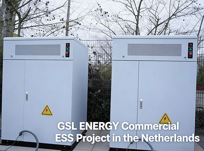 Netherlands Commercial Energy Storage Project Dual 125kw Liquid