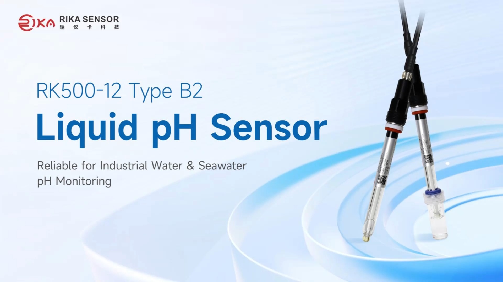 RK500-12 Type B2 Liquid PH Sensor Reliable for Industrial Water ...