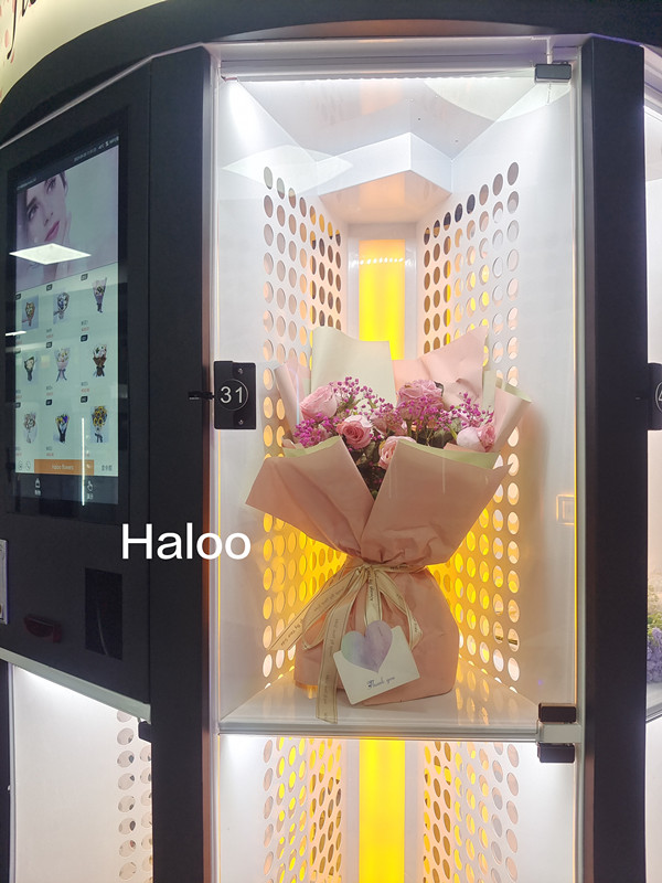 Haloo Vending Machine Supplier Expendedora De Flores Custom Fully ...