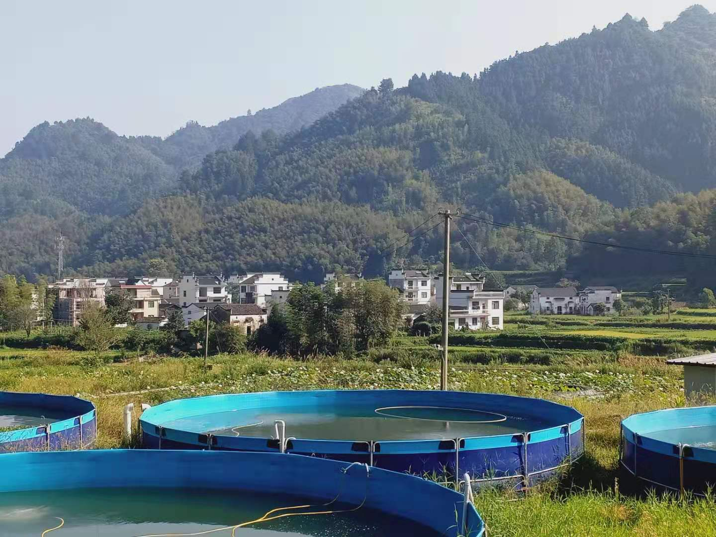 Low-cost, High-density Aquaculture Technology - Flow-through ...