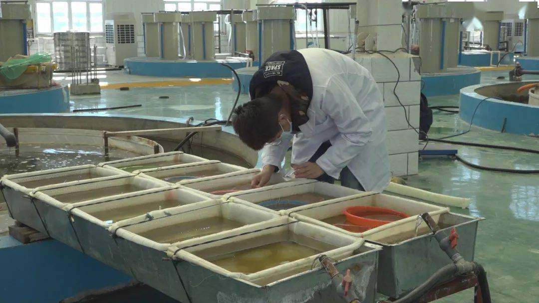 Galvanized Steel Canvas Fish Tank for Flow-Through Aquaculture Systems ...