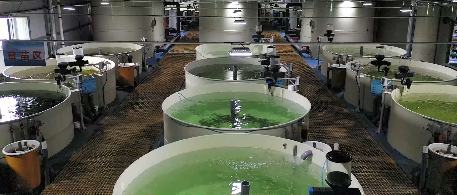 Wholesale Fish Farming Tanks Manufacturers | WOLIZE