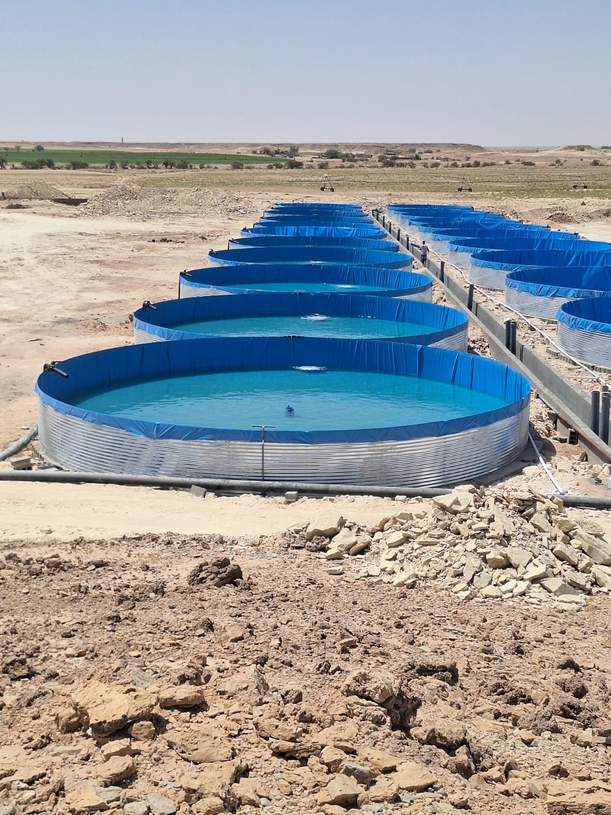 Desert Fishing Song: How Galvanized Steel Sheet Fish Ponds "Swim" to ...