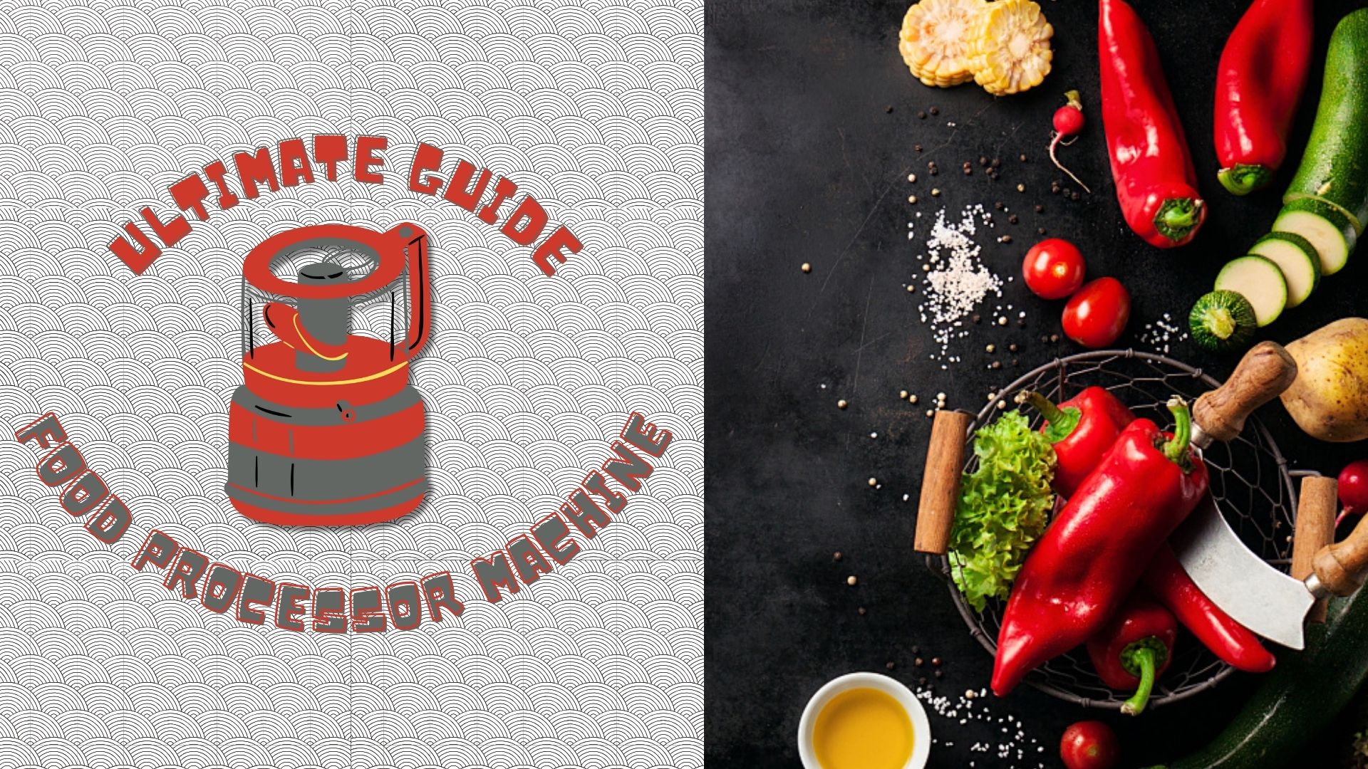 The Ultimate Guide to Food Processor Machine | Shinelong
