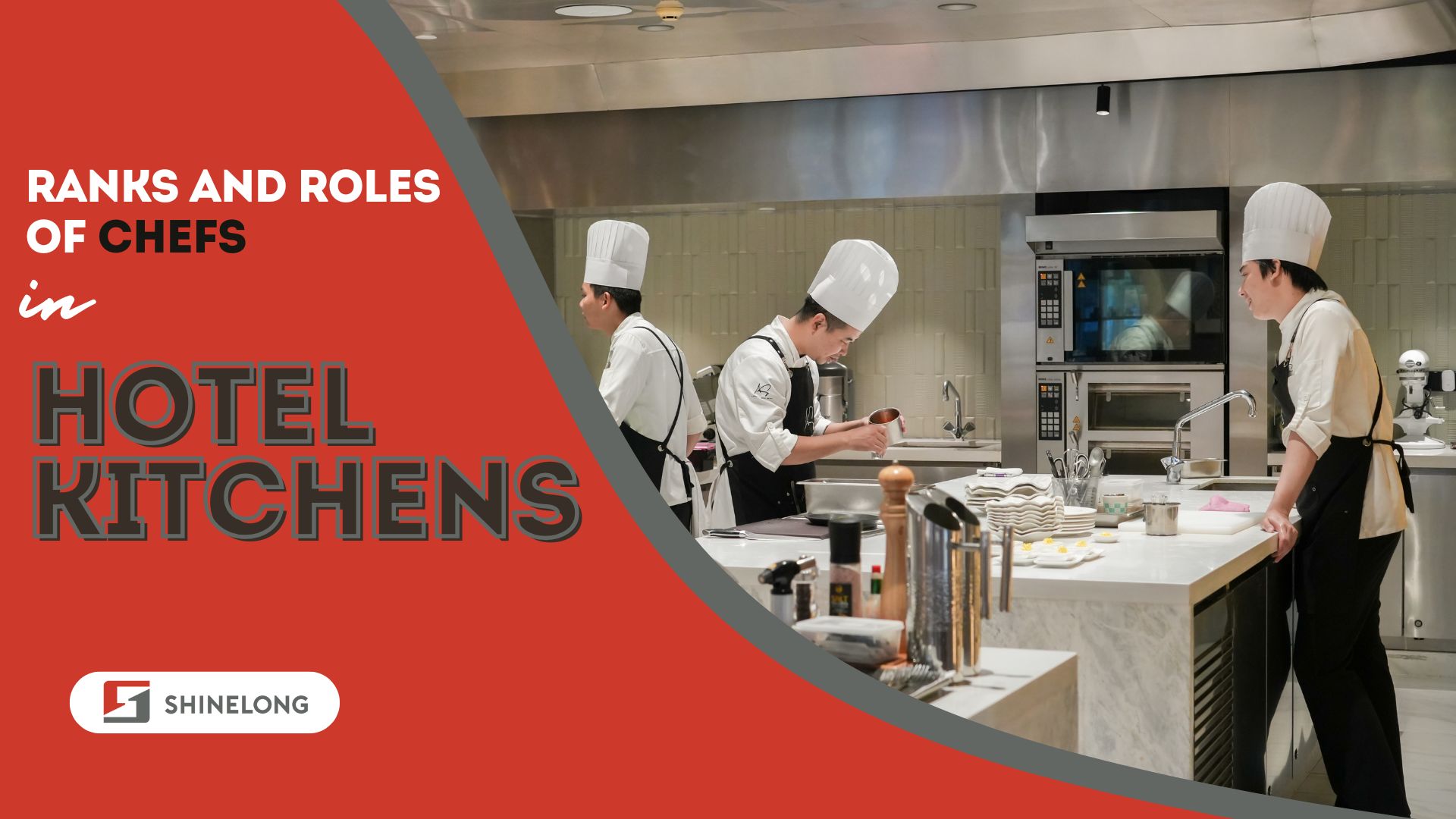 Understanding the Ranks and Roles of Chefs in Hotel Kitchens | Shinelong