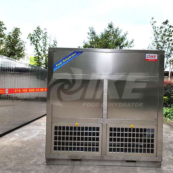 IKE Factory Large-scale Industrial Embedded Food Dehydrator for Kale And