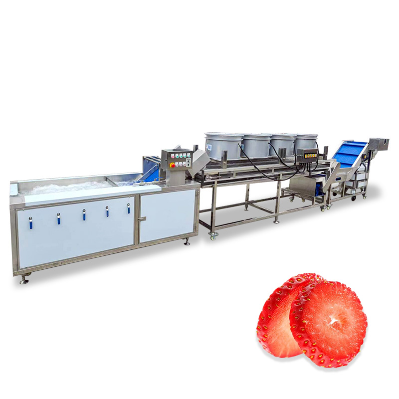 Industrial Automation Strawberry Washing and Slicing Line · IKE Machinery