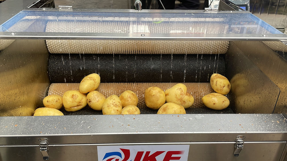 Compact Root Vegetable Washing Machine with Brush Rollers KT-WN300 | IKE