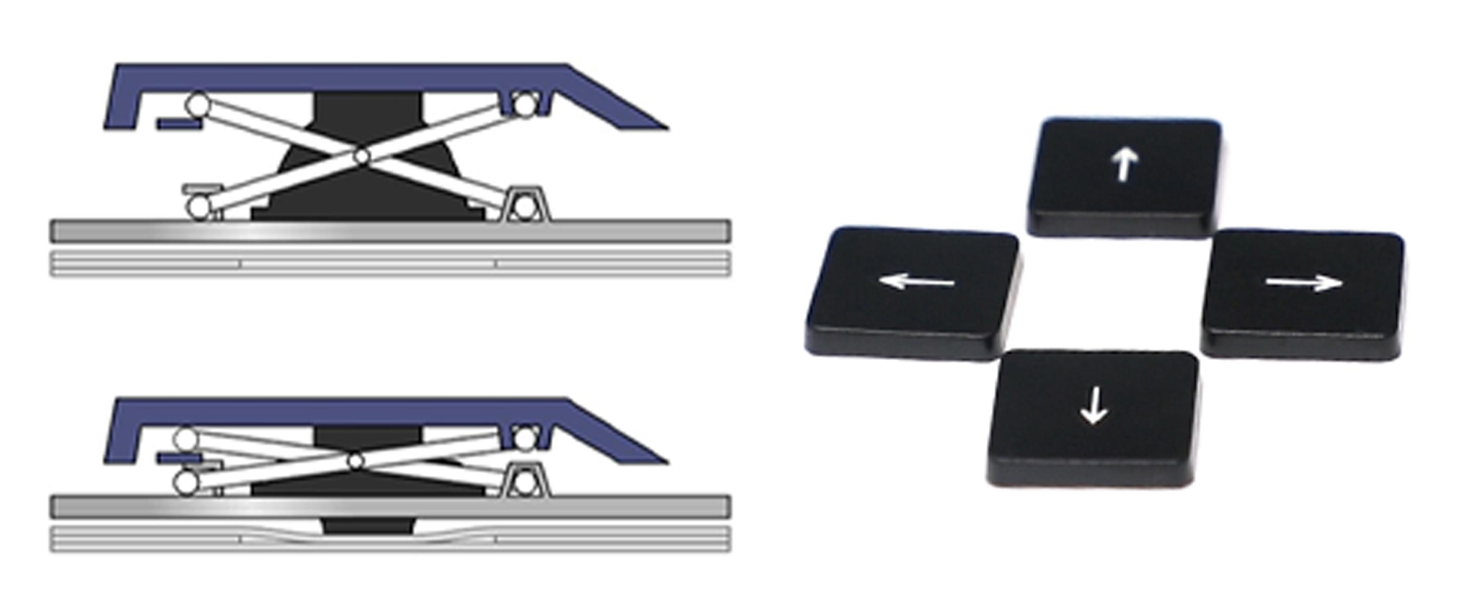 What Is the Difference Between a Mechanical Keyboard and a Sc - Keyceo