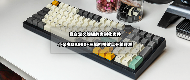 Mechanical Keyboard Pit Guide Part 15: Customized Kit with True Custom