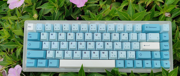 Keyboard Part 4: Two Hundred Gasket Structure RGB Keyboard Ceiling? A