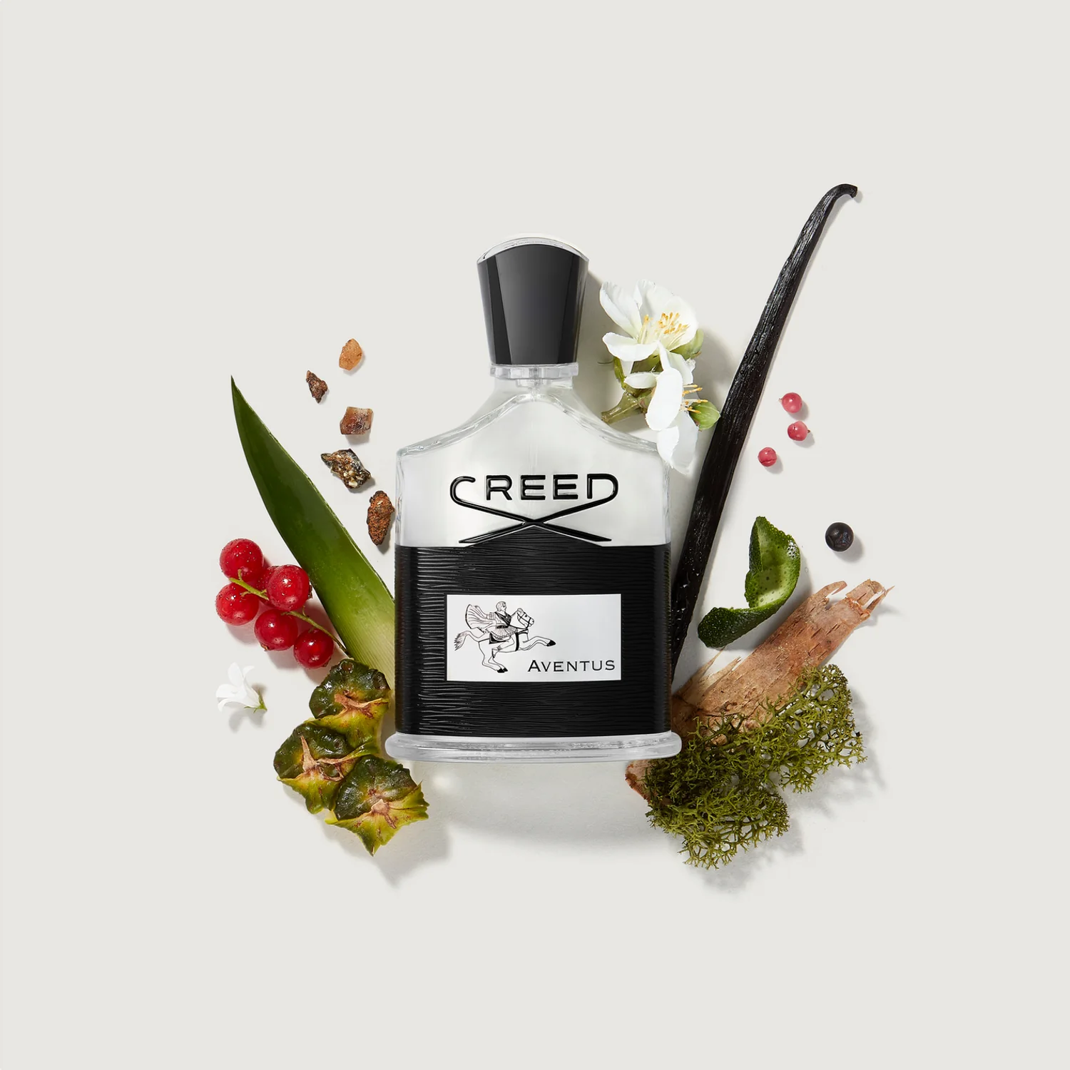 The Top 10 Best Fragrances for Men | Lisson Packaging
